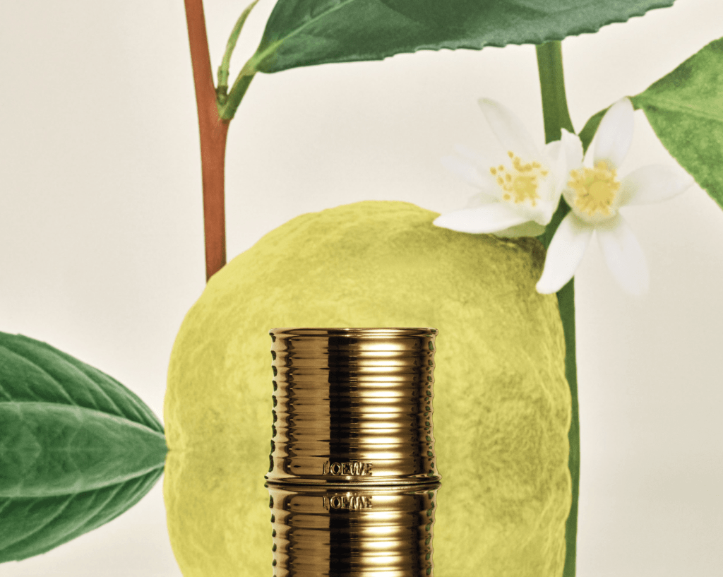 LOEWE Perfumes reveals three new scented candles